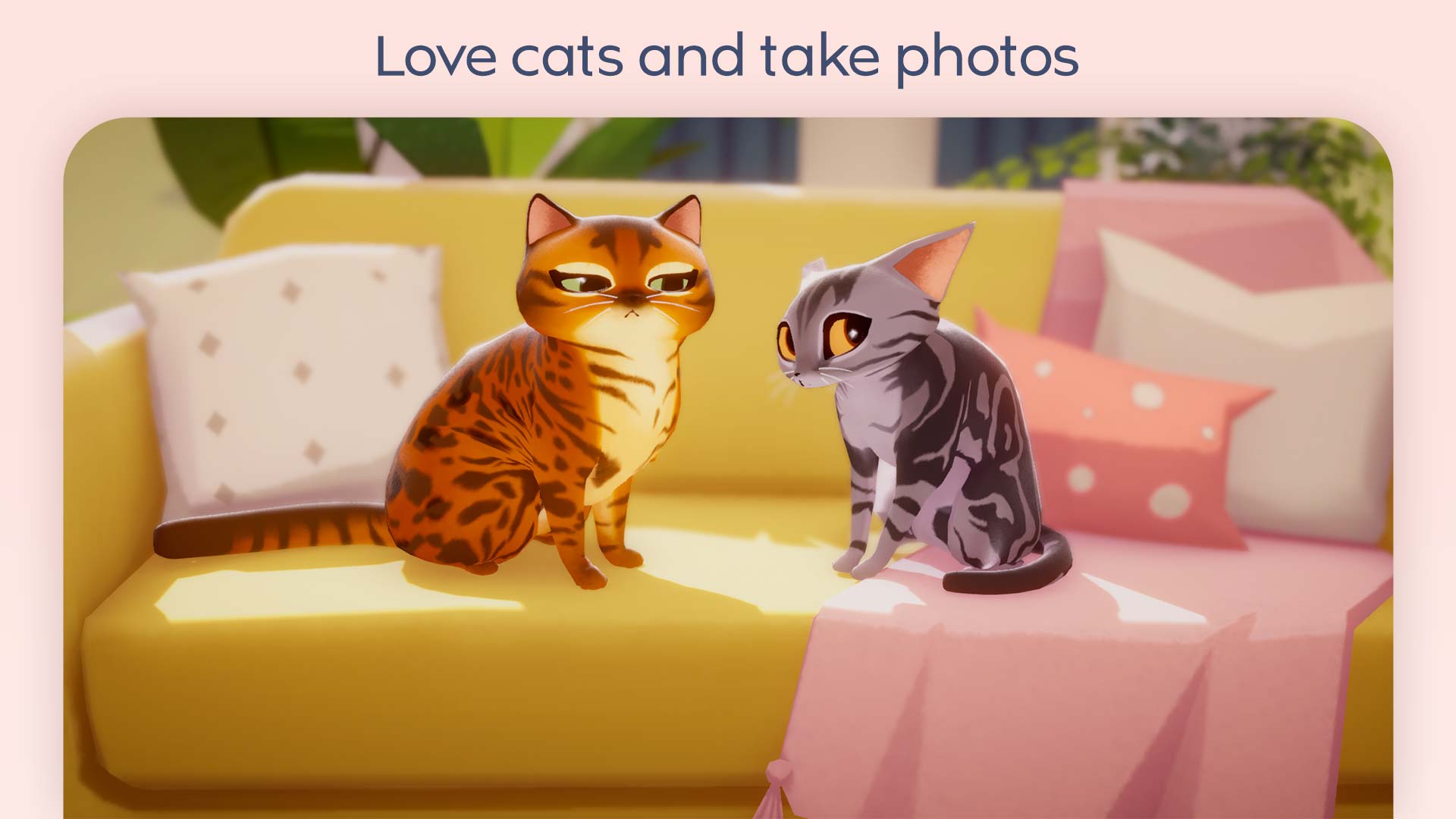 My Cat Club Collect Kittens For IOS My Cat Club Collect Kittens For IOS